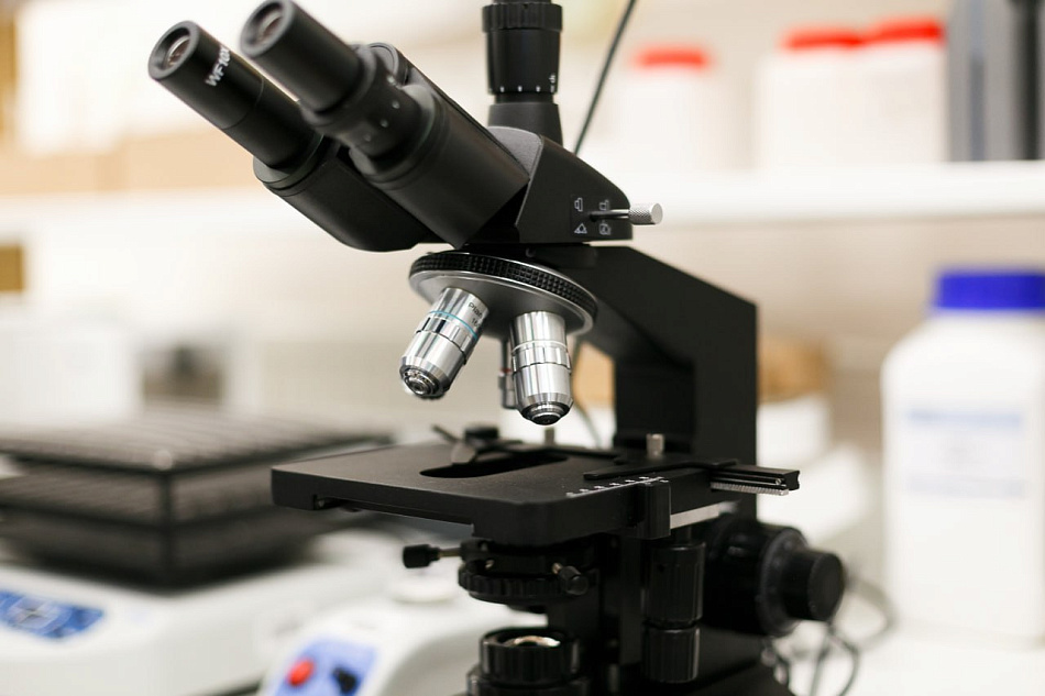 Russian Science Foundation | TRANSPARENCY. COMPETENCE. RESULT.