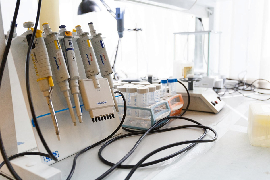 Russian Science Foundation | TRANSPARENCY. COMPETENCE. RESULT.