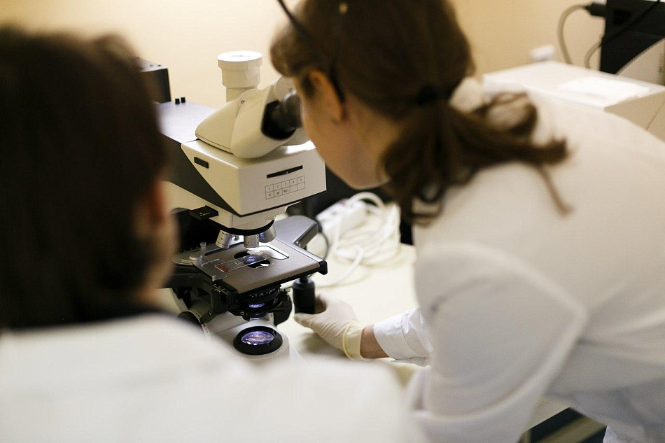 Russian Science Foundation | TRANSPARENCY. COMPETENCE. RESULT.